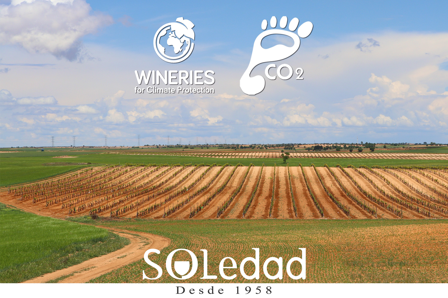 BODEGA SOLEDAD, RESPONSABILIDAD SOCIAL DE 360º - Mundo Vino