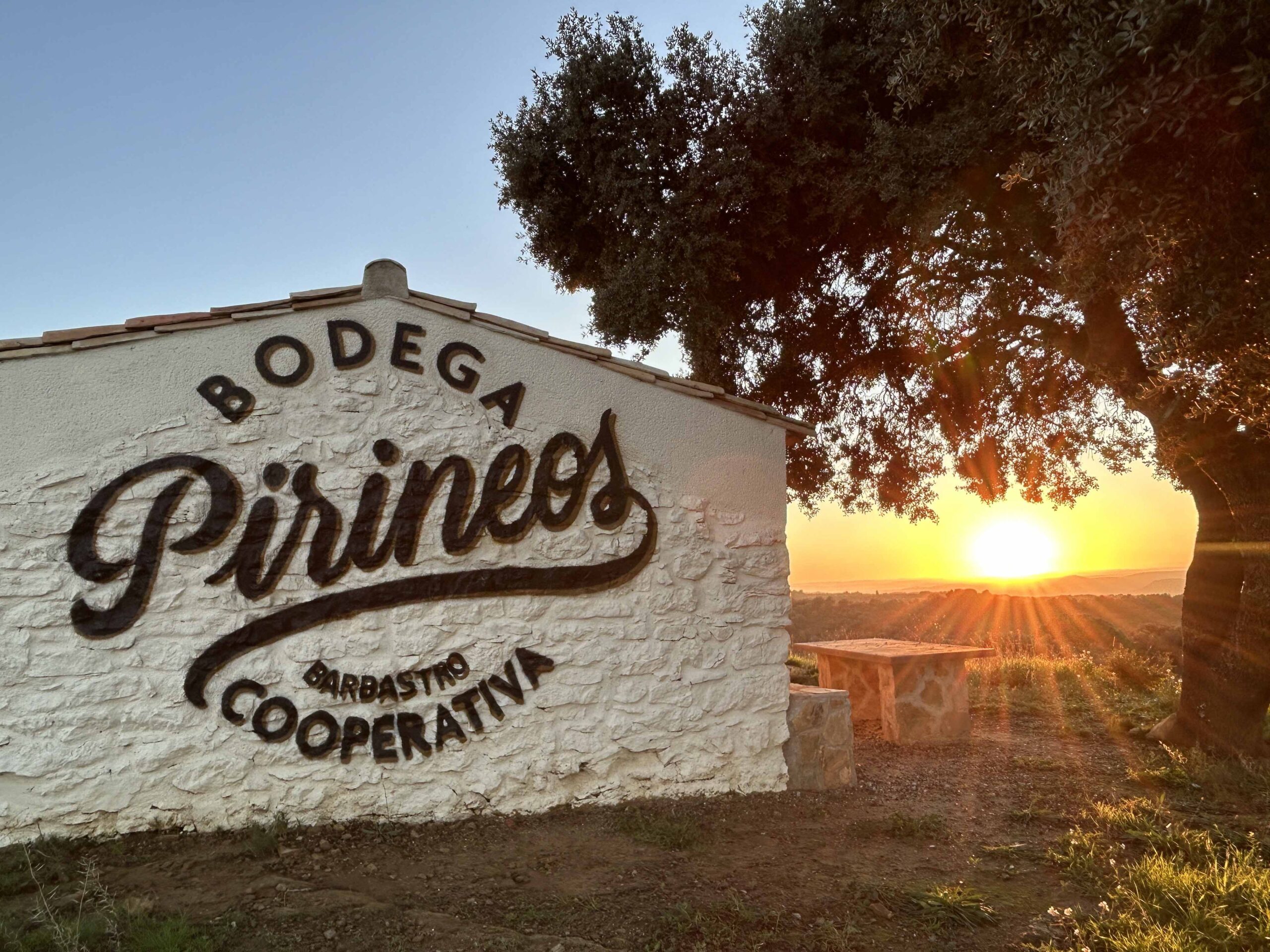 Bodega Pirineos obtiene la certificación SWfCP que otorga la Federación ...